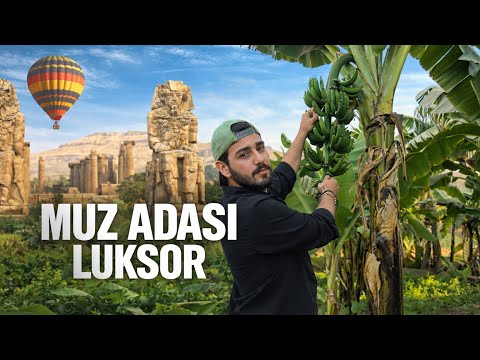🇪🇬Muz Adası ve Nilde Timsahlar | LUKSOR