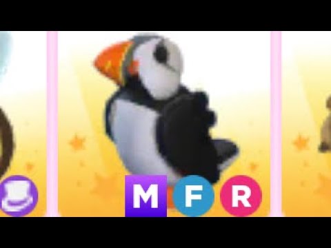 7 new offers for *MEGA* puffin😊👍 Adopt me trading 2023 - YouTube