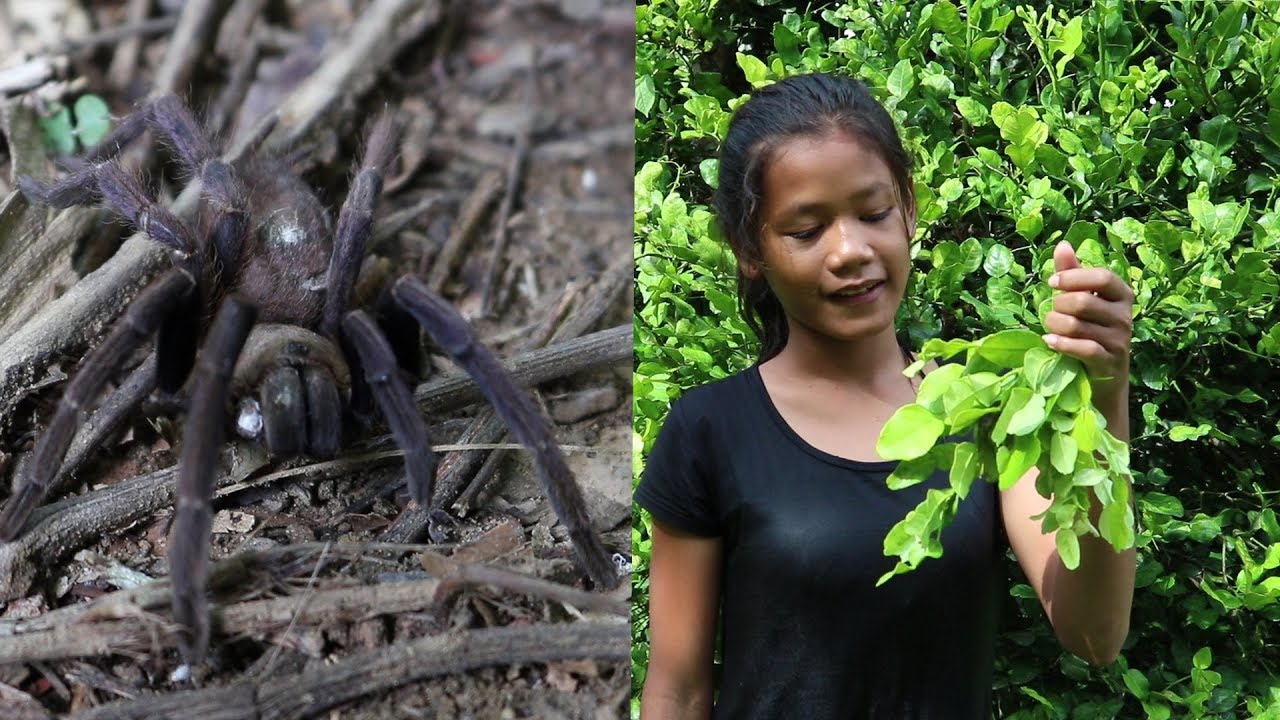 Cooking Black spider with Orange leaves for food, Primitive Survival ...