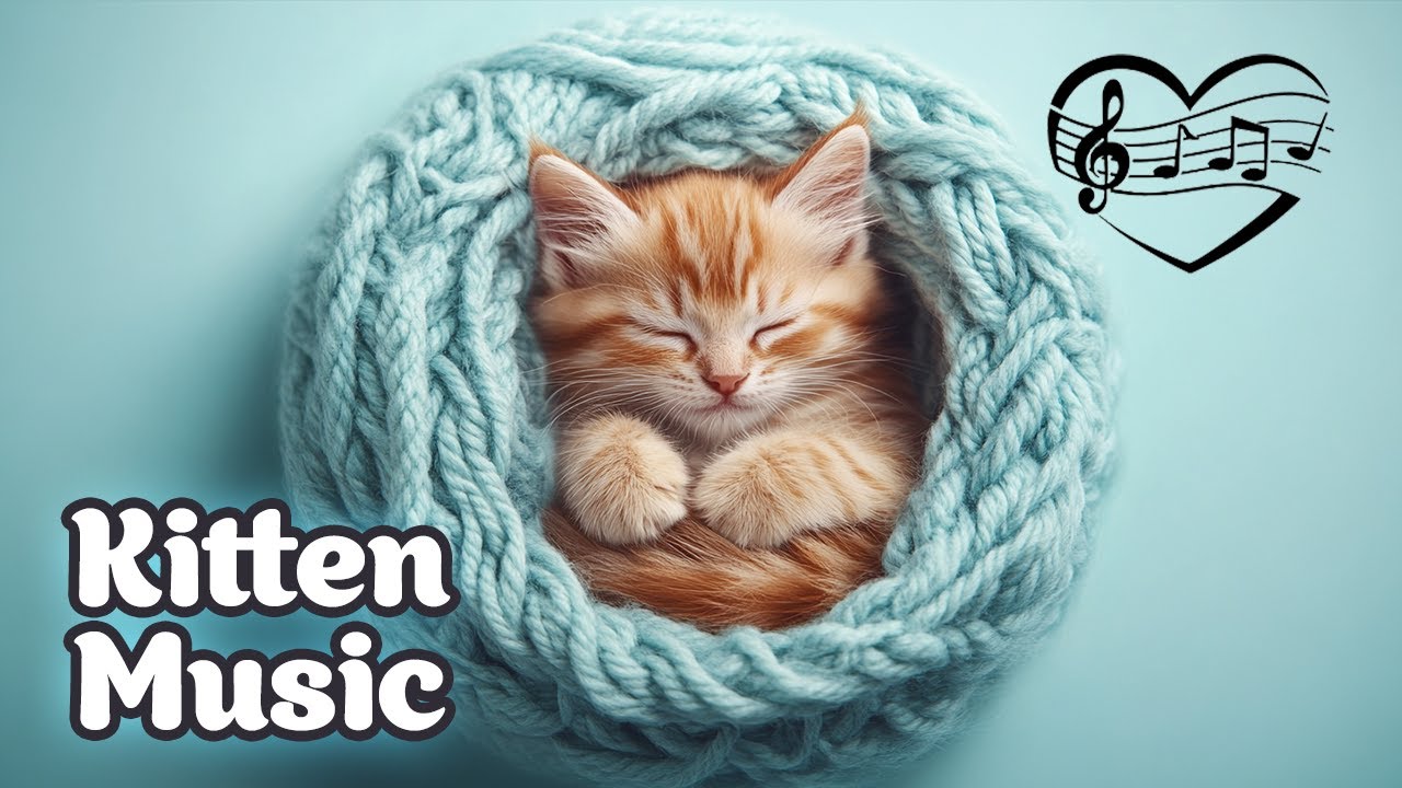 12 Hours of Relaxing Cat Music 🐦‍ Soothing Bird Sounds & Calming ...