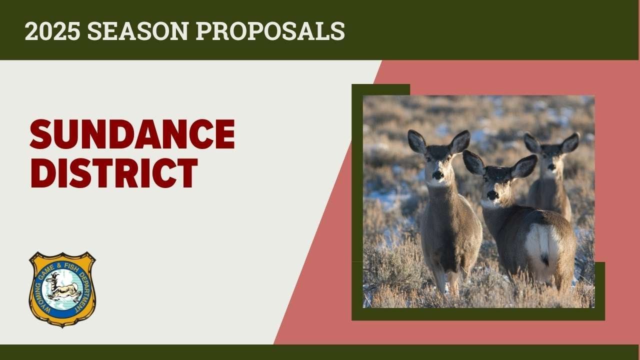 Sundance - 2025 Hunting Season Proposals - YouTube