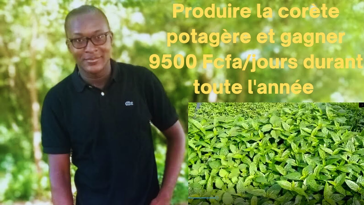 Agriculture : 10 étapes clés pour produire et gagner de l'argent à ...