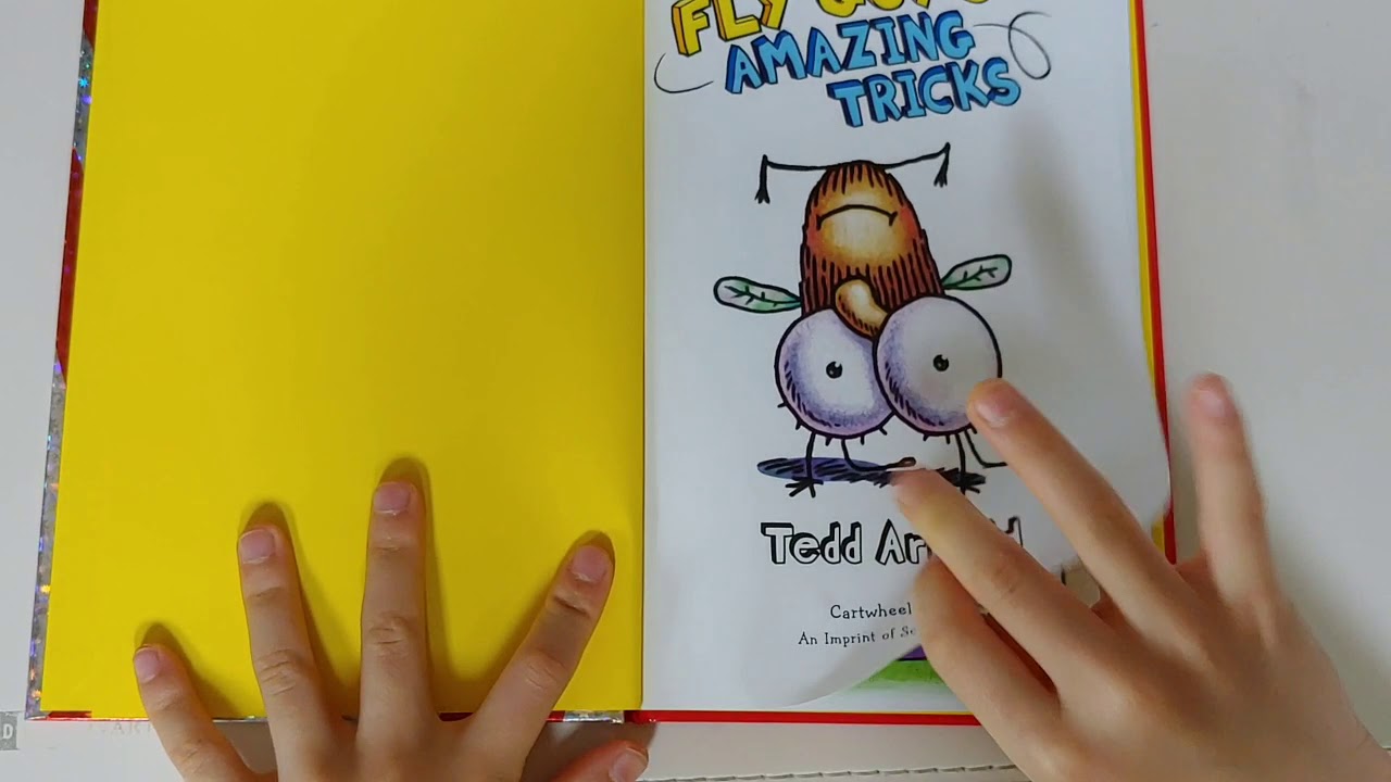 Fly Guy's Amazing tricks - YouTube