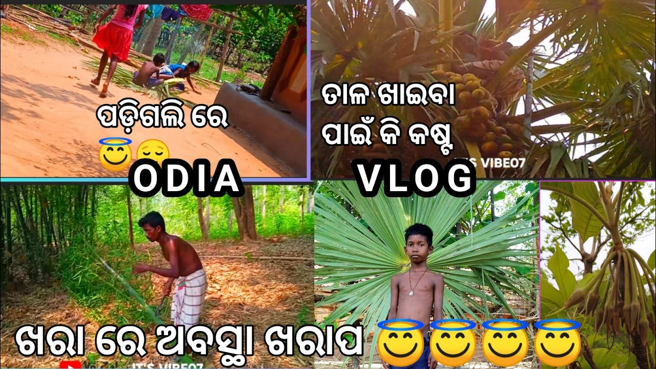 travel vibe| mu traveller| odia vlog| tribals life styles - YouTube