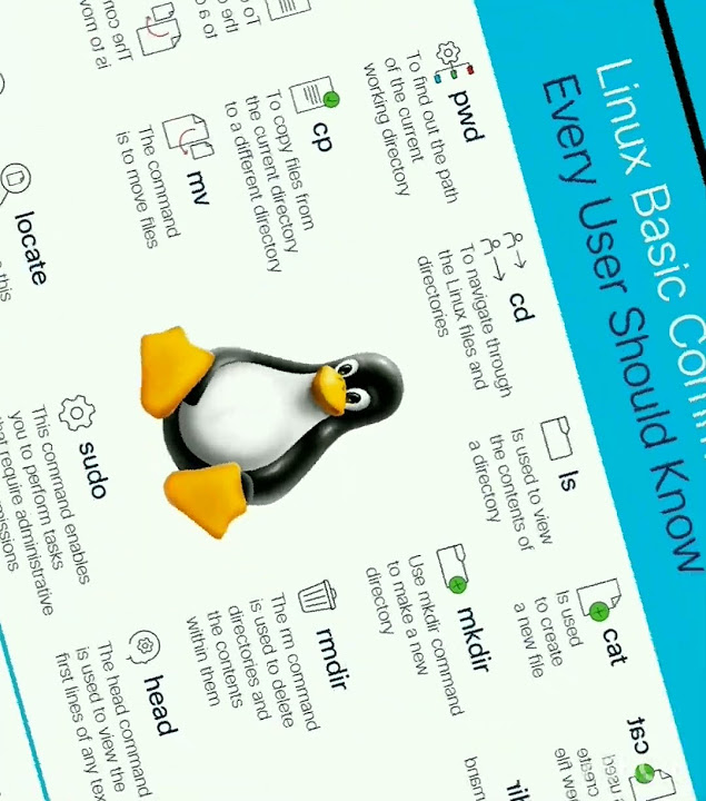 Linux Basic Commands You Should Knowc Codingprogramminglanguage Cprogramming