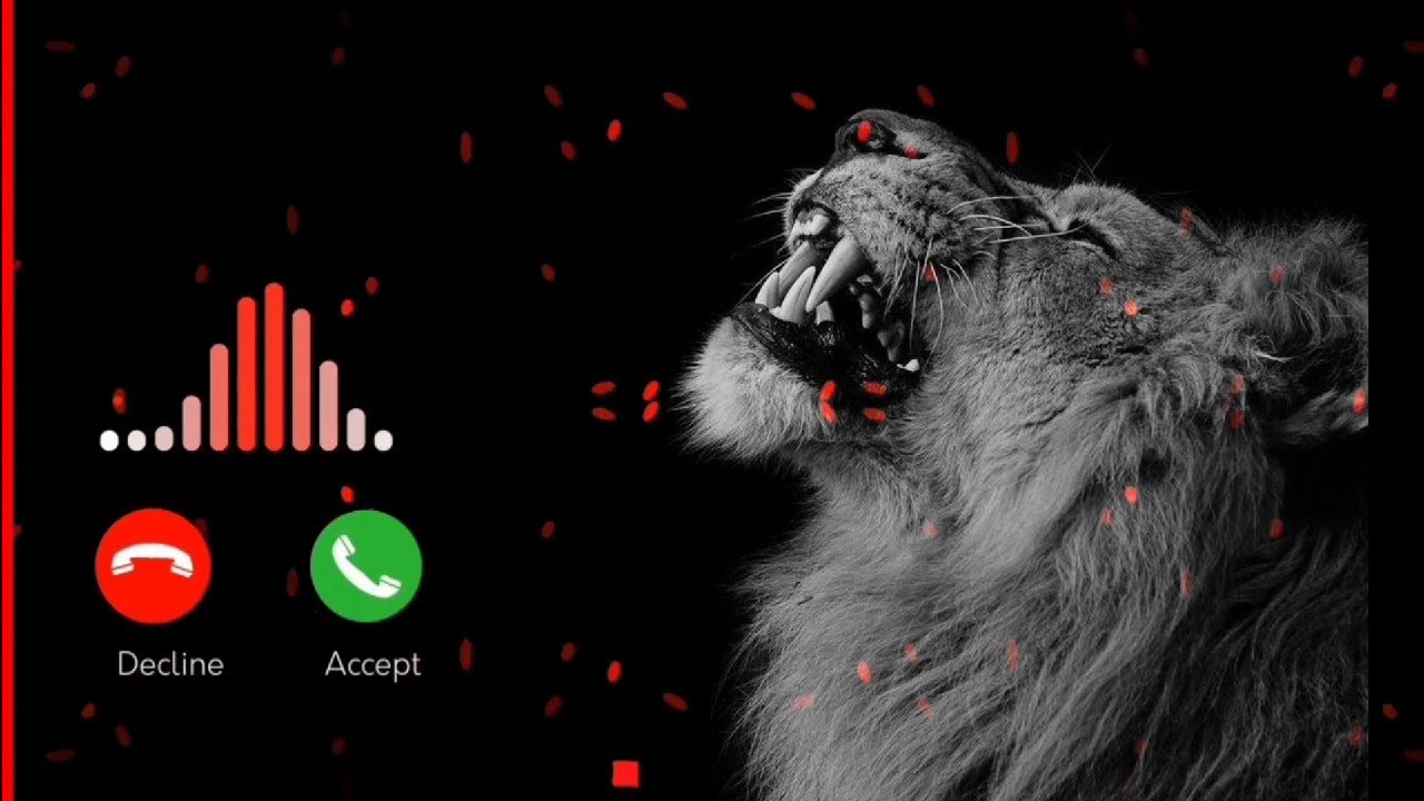 Tiger ringtone - YouTube