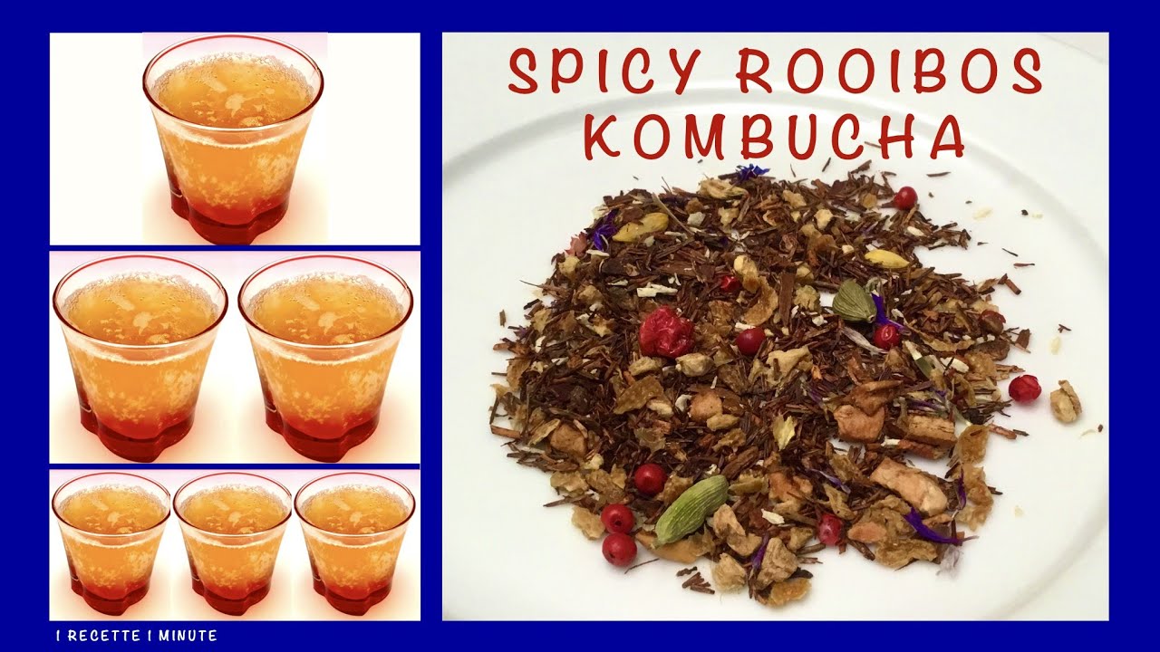 Spicy Rooibos Kombucha Recipe / Red Tea, Healthy, Sparkling ...