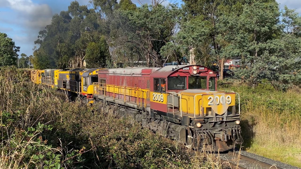 Tasrail#34 DQ2009 TR12 DQ2006 loaded log/container train powering ...
