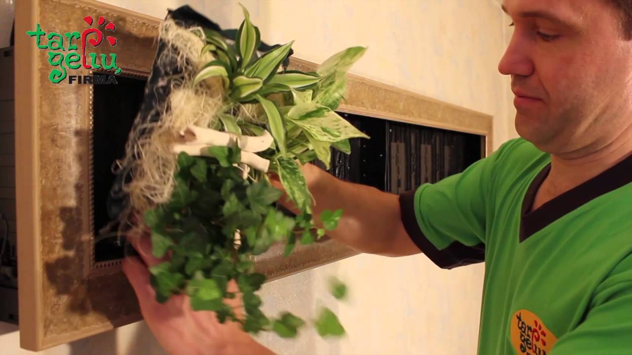 TarpGeliu Gyvu Augalu paveikslas lt mp4 Mac and PC - YouTube