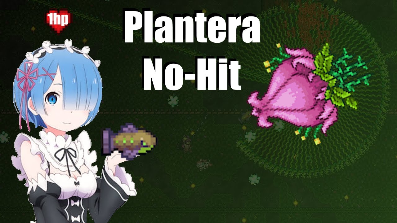 Plantera No-Hit | Calamity Infernum - YouTube