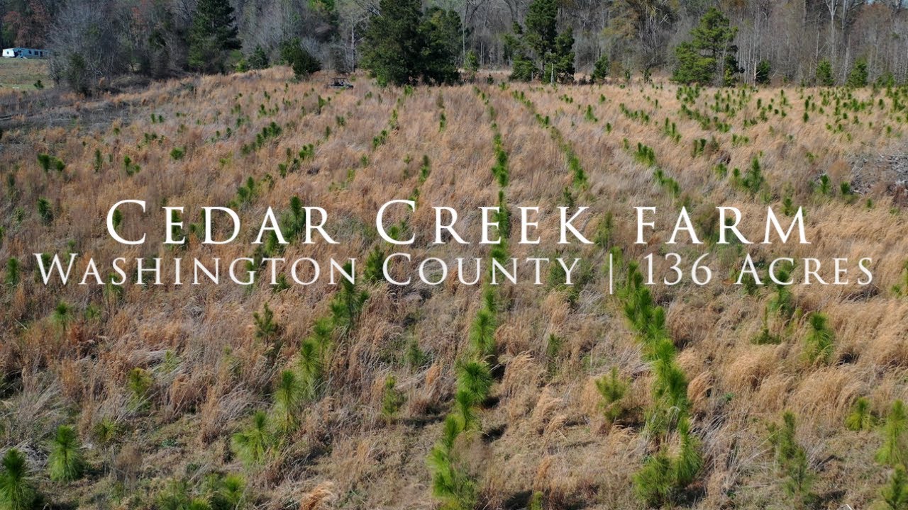 Cedar Creek Farm | Washington County Georgia - YouTube