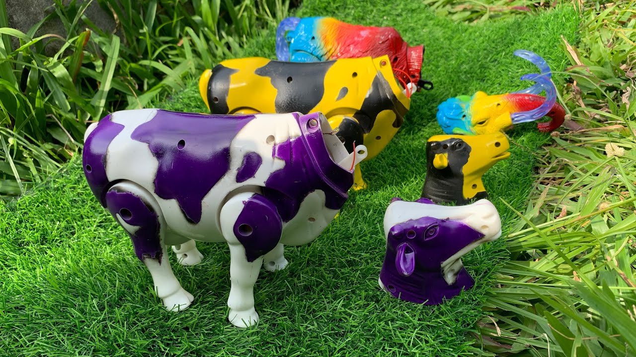 Mencari dan Merakit Mainan Sapi Warna Warni, Sapi Moo, Sapi Lucu ...
