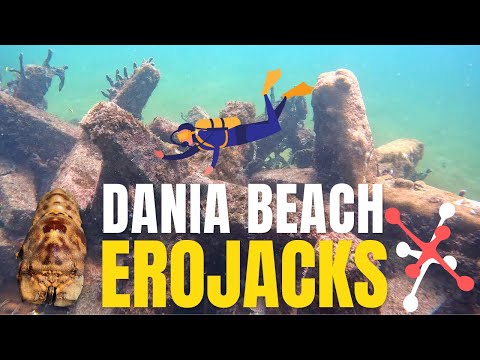 The BEST Way To Get To The Dania Beach EroJacks (Shore Dive) - Slipper Lobster Cookup