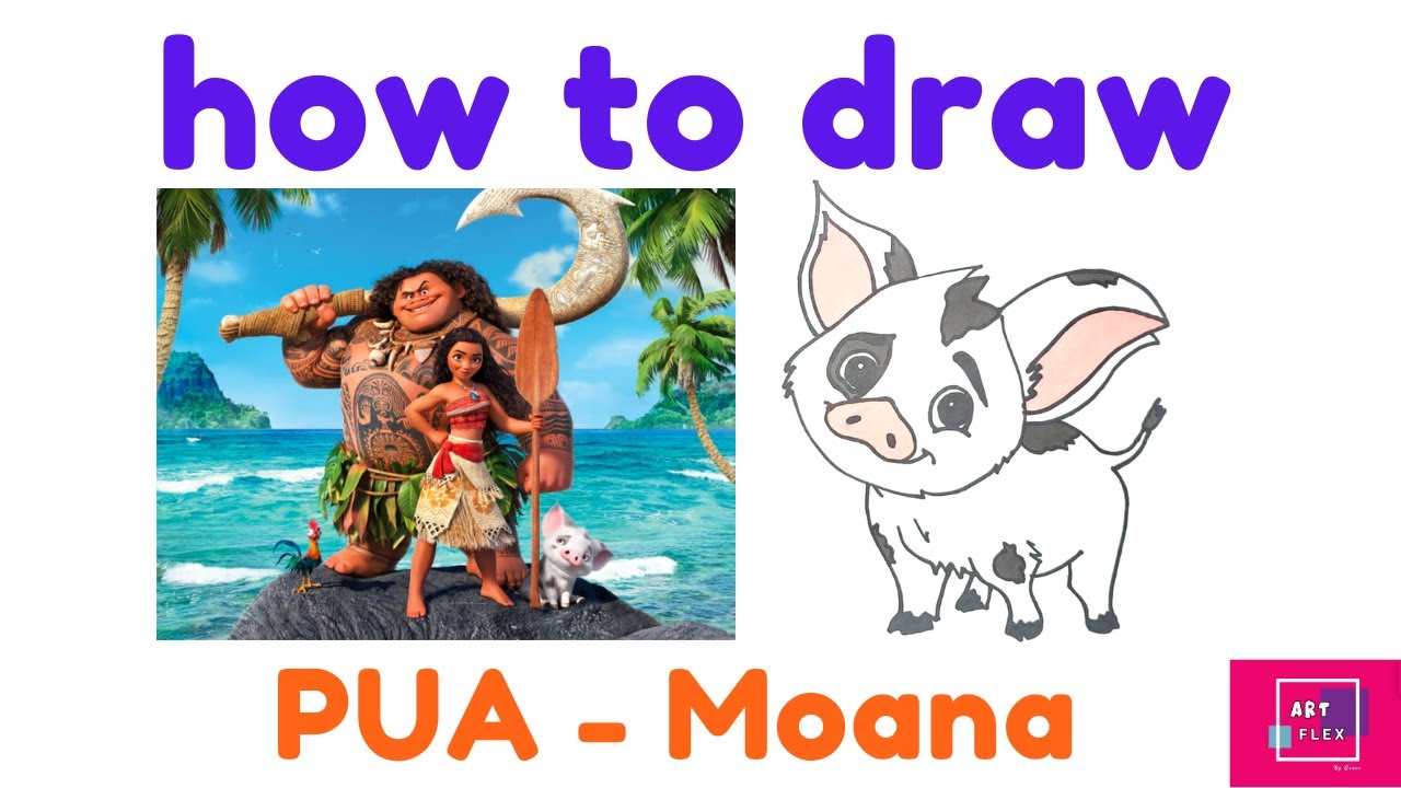 How To Draw Color PUA | Disney Moana | Step By Step - YouTube
