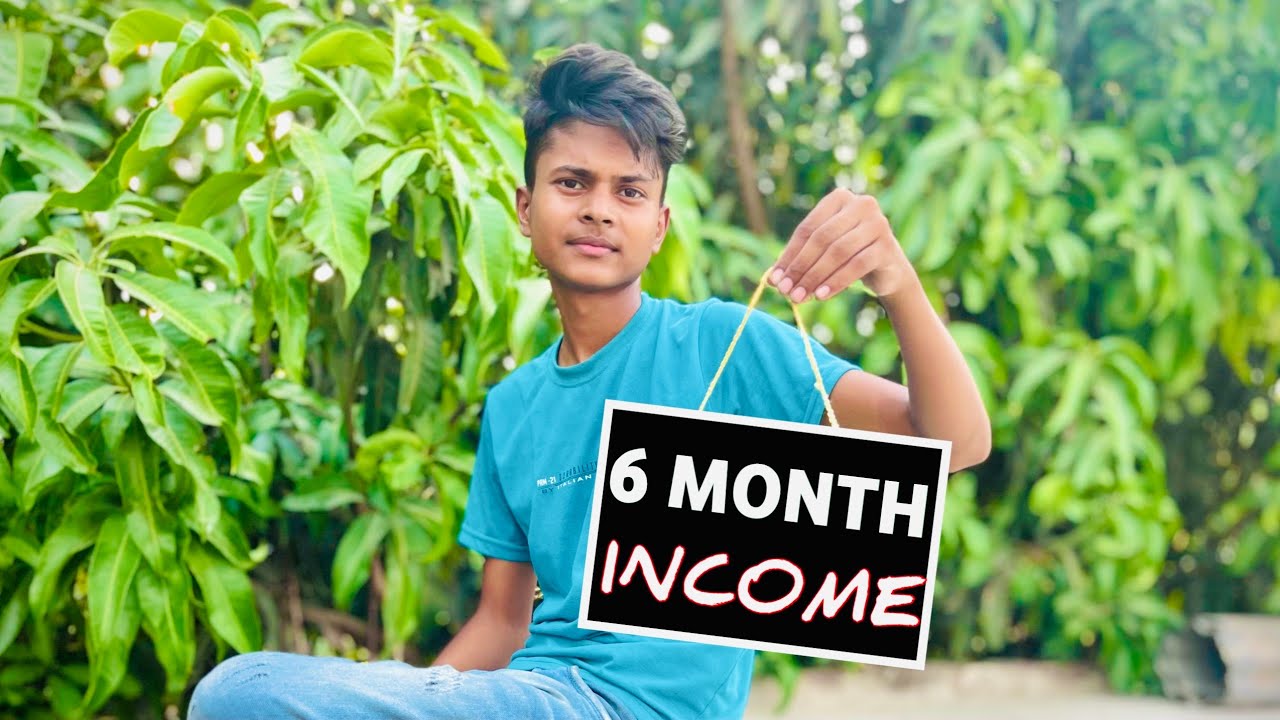 My 6 Months Youtube Earnings Youtube