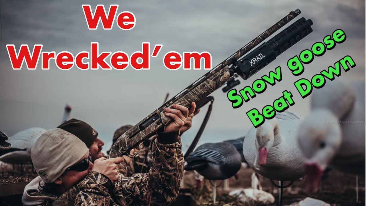 Illinois Snow Goose Hunting | True Southern Waterfowlers | EP 3 - YouTube