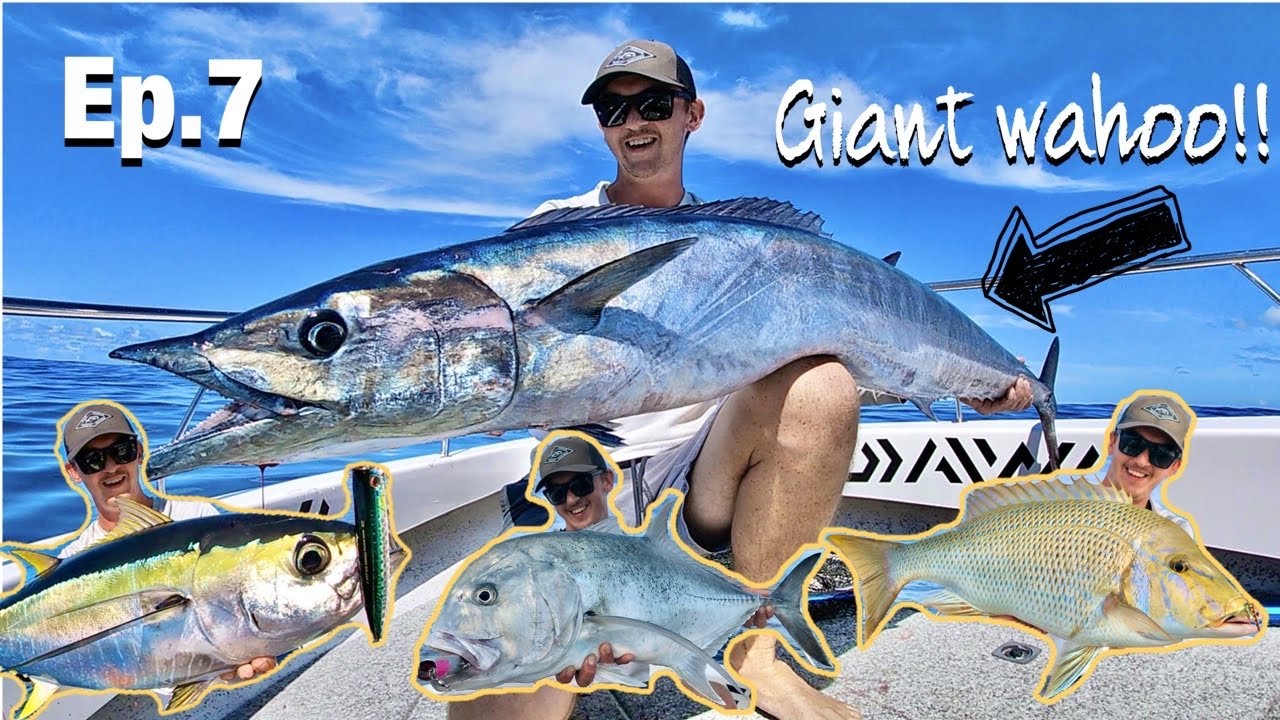 GIANT WAHOO!! - (PART 2) - YouTube