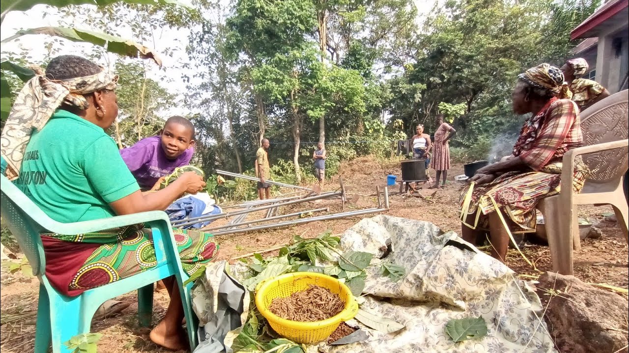 Living In An African Igbo Village In Nigeria || Beauty Of Igbo Communal ...
