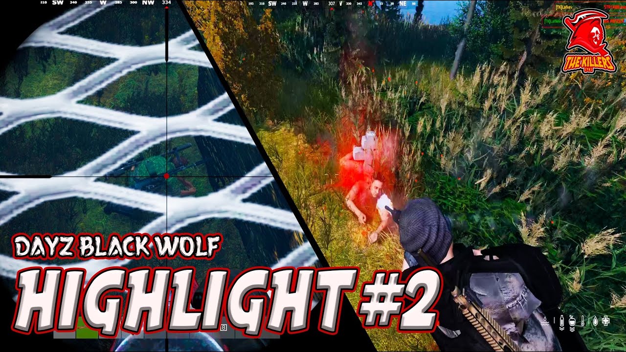 HIGHLIGHT - #2 - DAYZ BLACK WOLF - YouTube