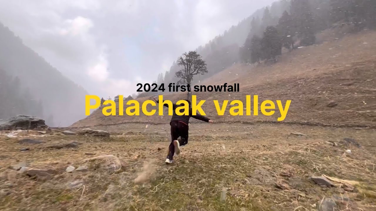 Beautiful Palachak valley (Barot valley) || 2024 fresh snowfall ...