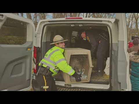 Muddy River Oil Spill and Rescue, 2024
