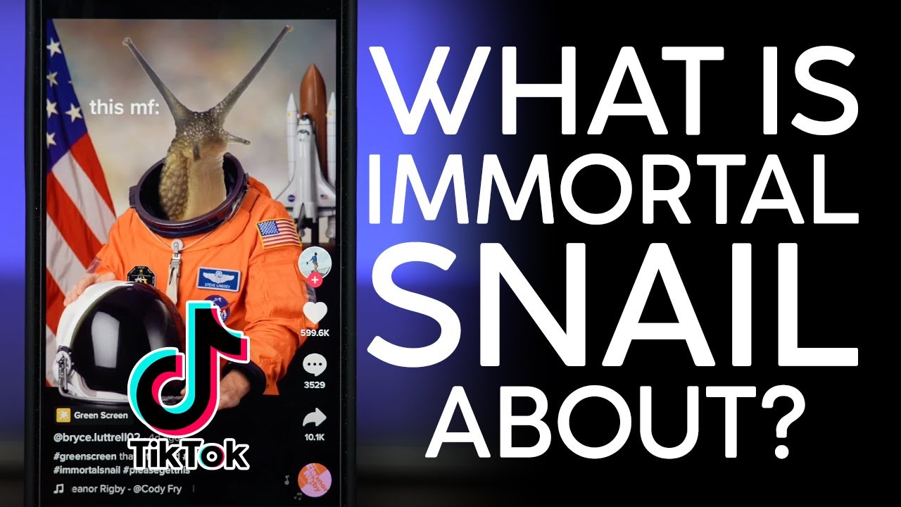 🐌 What is this Snail Meme or Immortal Snail About? 🐌 #immortalsnail ...