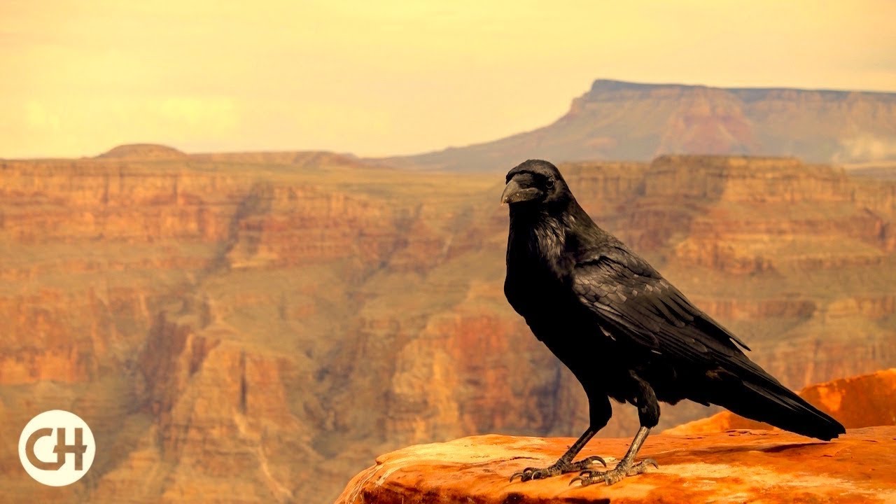 Epic Western Music Final Themes in WesternMovies HD - YouTube