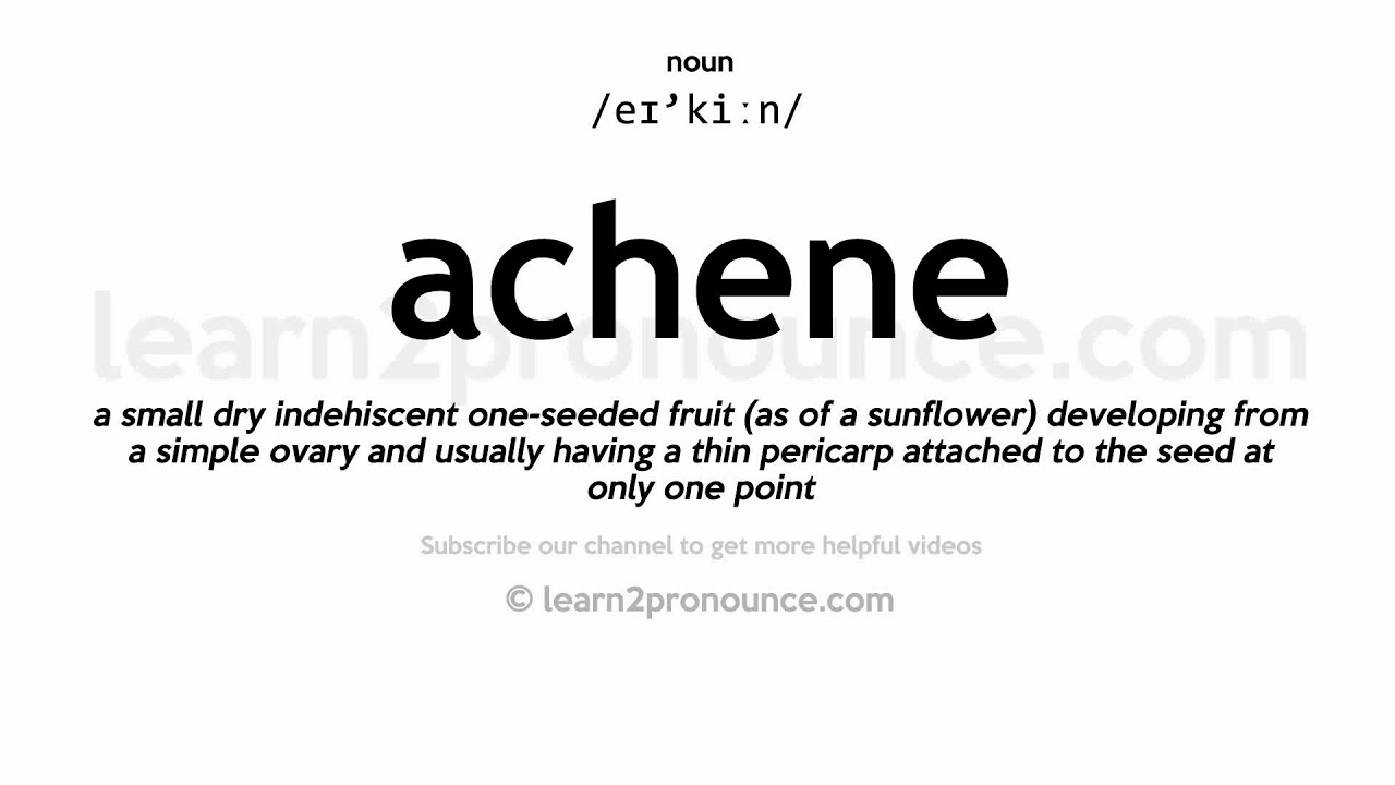 Achene