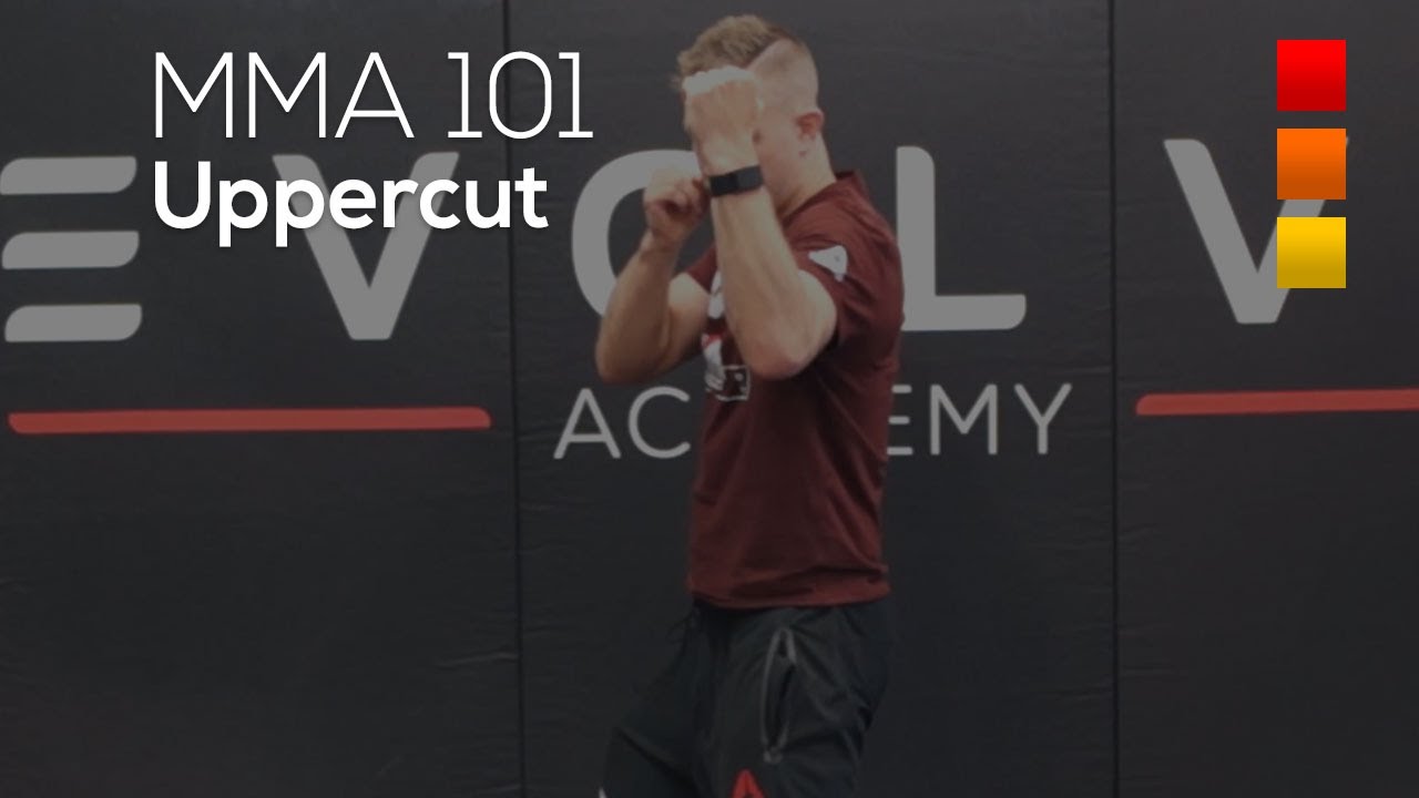 MMA 101 - Lead Uppercut - YouTube