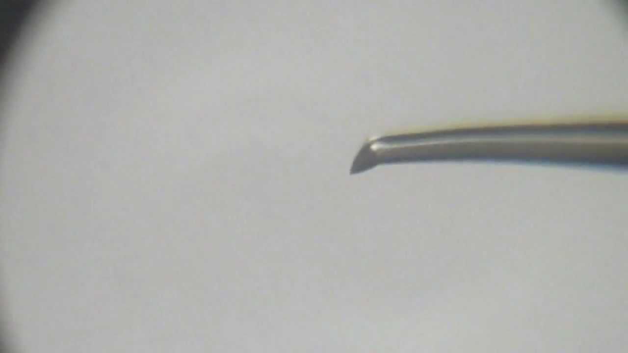 Capsulorhexis Forceps Stainless Steel Scissor Action Sharp Tips - YouTube