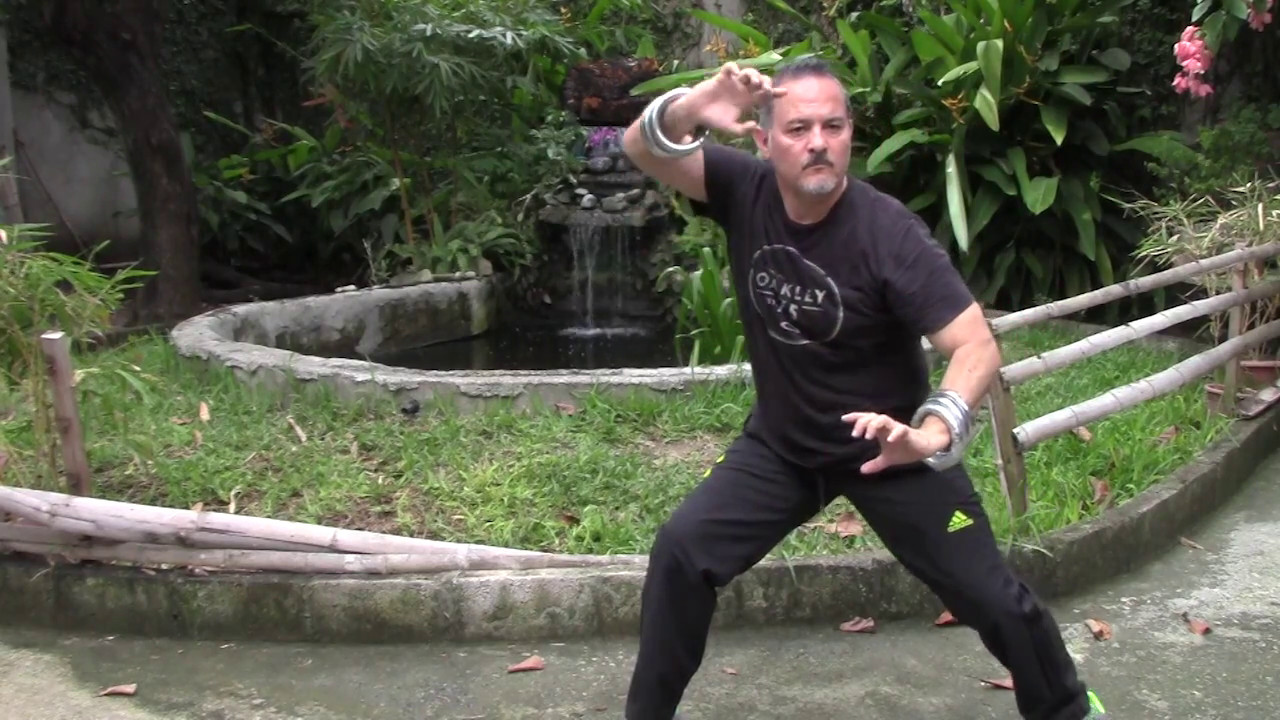 Kung fu Iron Ring Choy Gar - YouTube