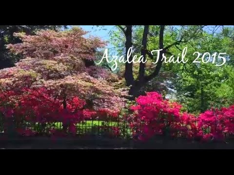 Come Join Us On The Azalea Trail! - YouTube