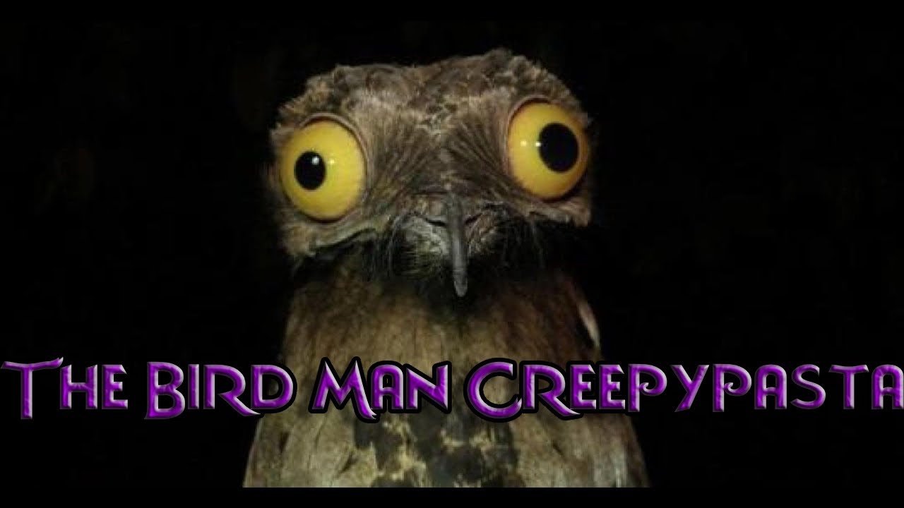 The Bird Man Creepypasta By: Anonymous - YouTube