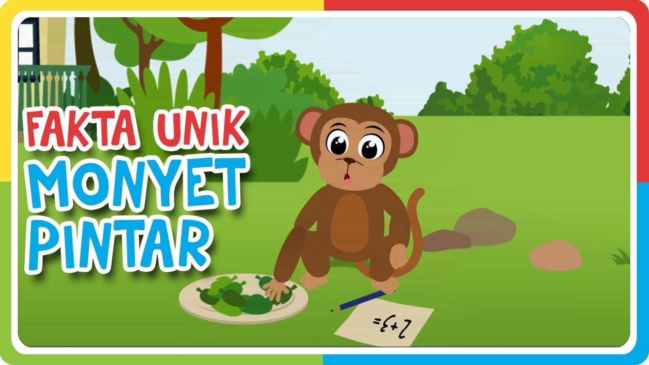 Fakta Menarik Monyet Pintar - YouTube