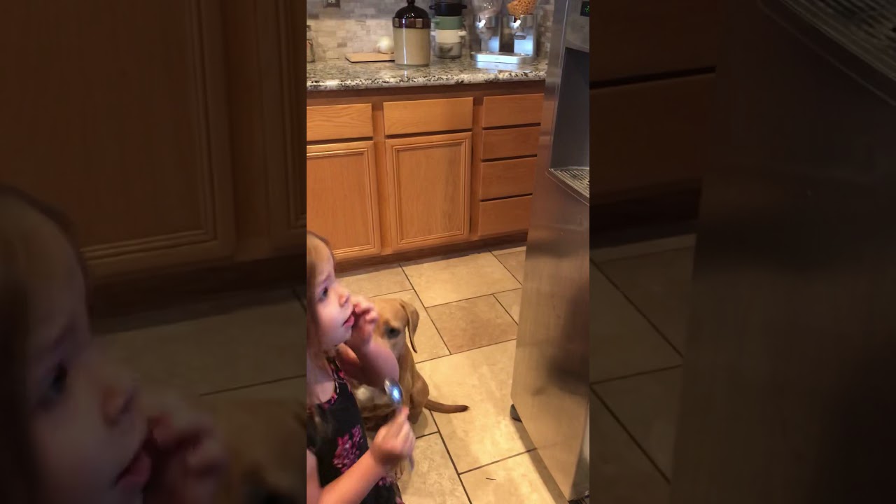 Elf on the shelf playing tricks on Emma adley - YouTube