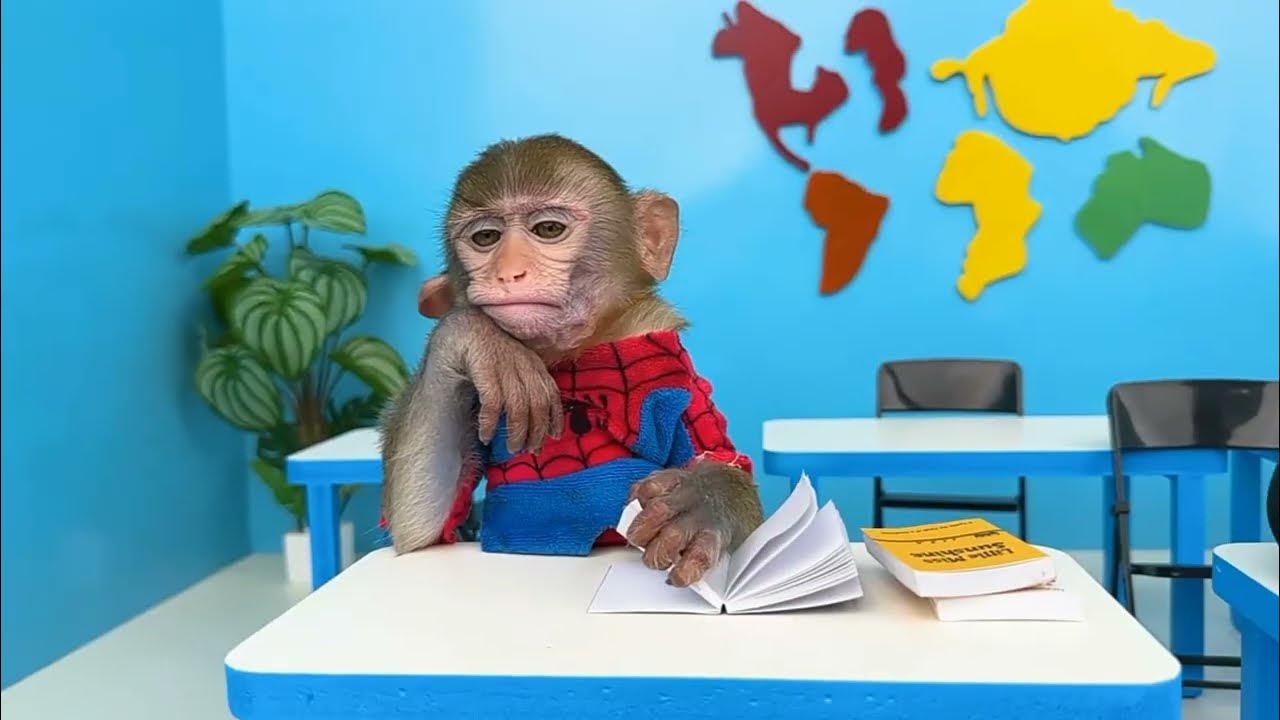 monkey Beby bon bon Gose to Harvest Watermelon chased by Dinosaur ...