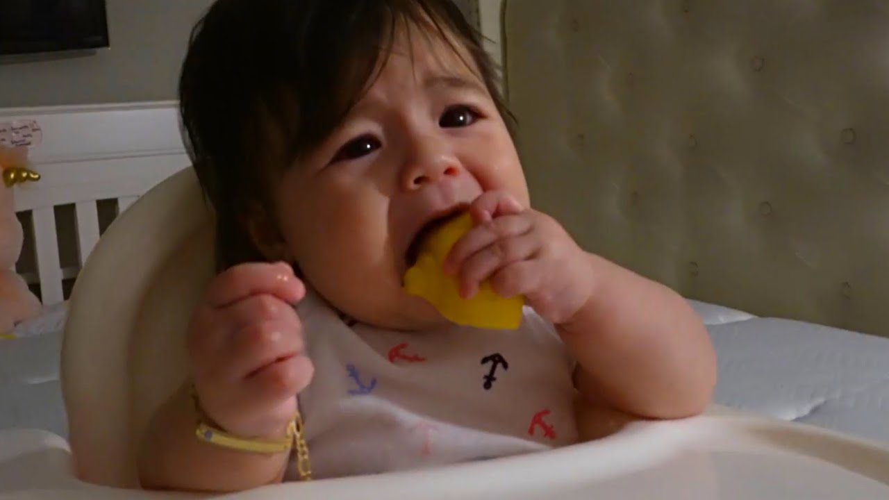 Baby vs Lemon (Hilarious Reaction!) - YouTube
