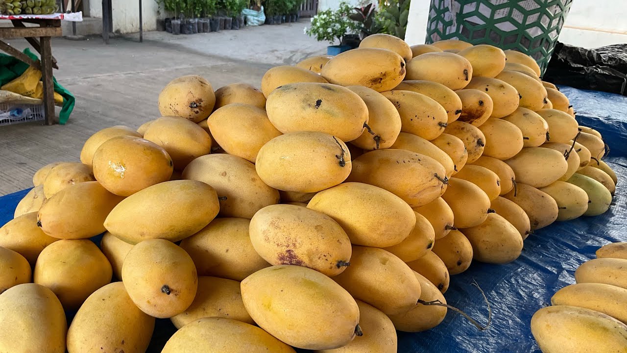 Welcome to Inabanga Bohol Market Day. - YouTube