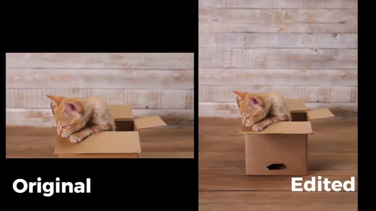 Using Photoshop Beta's Generative Layer To Create Video Backgrounds ...