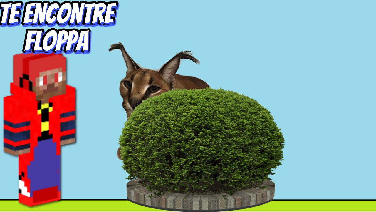 Find A Floppa #1 - YouTube