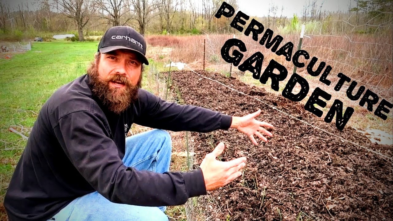 How To Stack Multiple Different Plants In Your Garden - YouTube