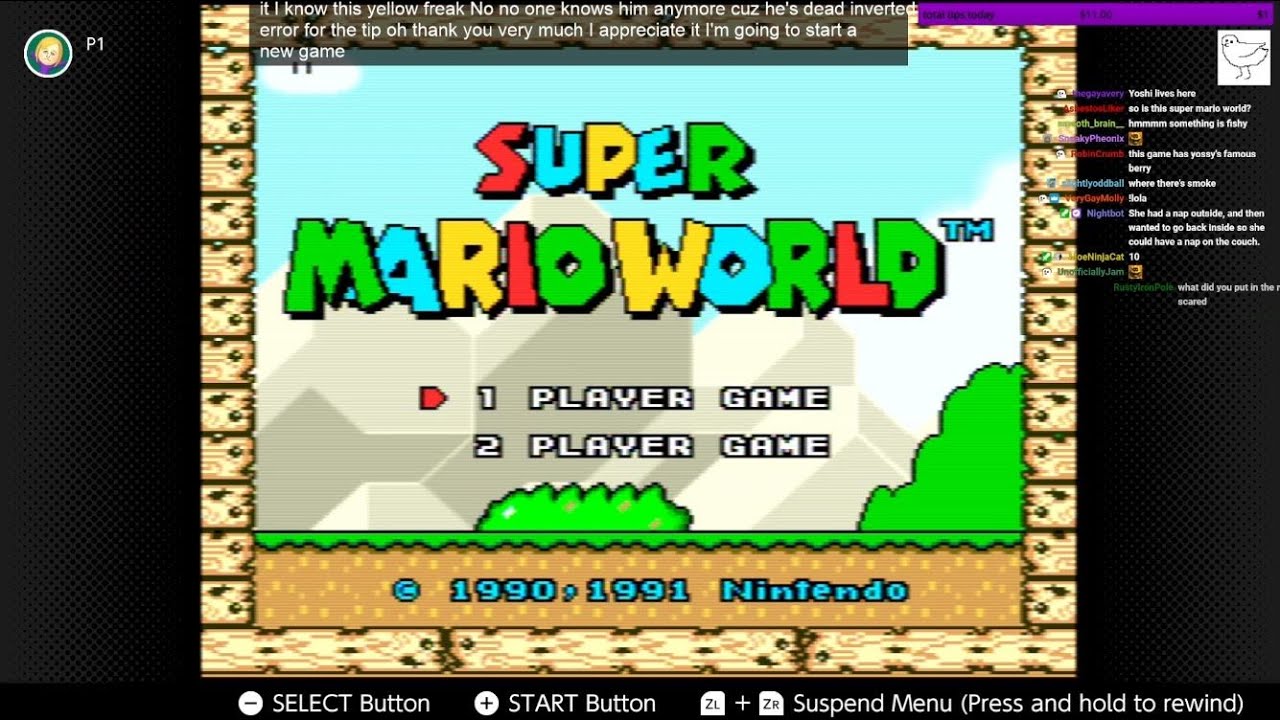 Holly Streams Super Mario World (Part 1) Ft. PuzzleGamingNerd - YouTube