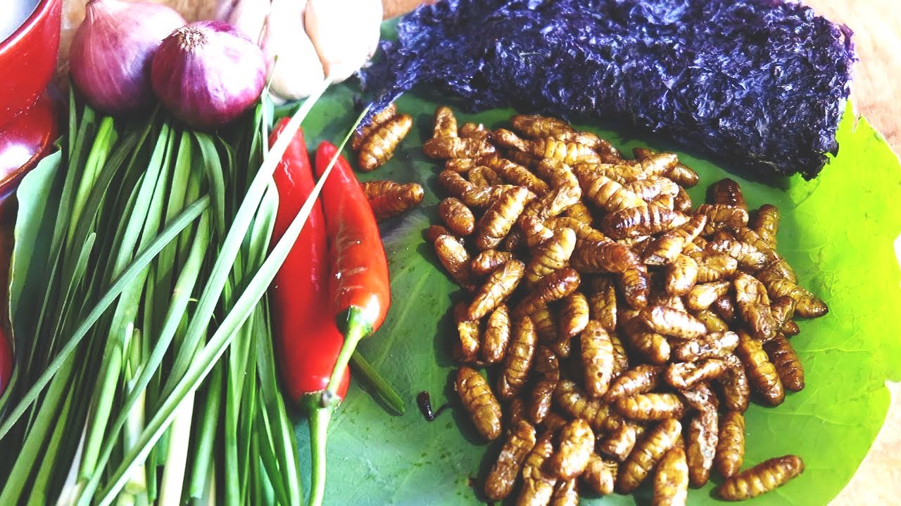 Edible real worm cooking video | Cambodian silkworm soup with black ...