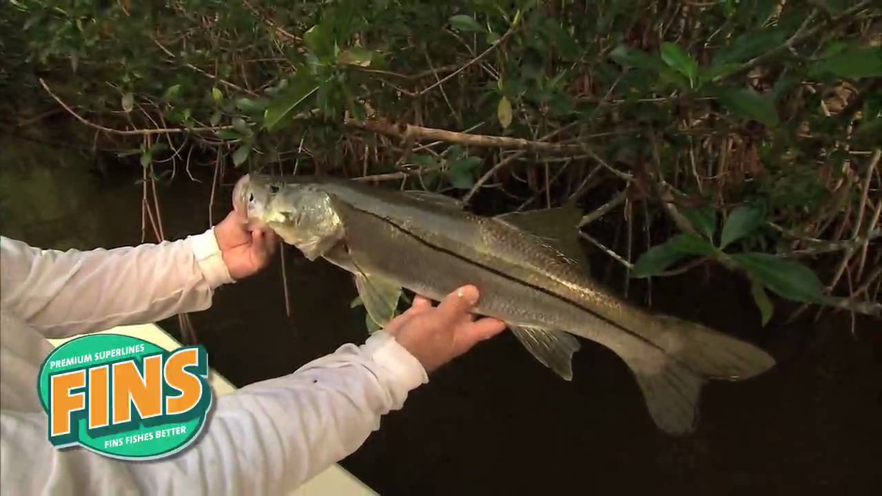 FINS Braid Original PRT Superline - YouTube