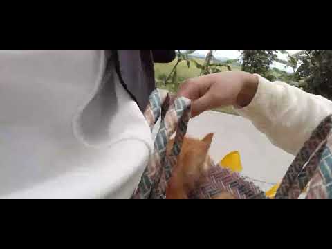 Tante Quciiiiii dan 2 keponakan tersayan