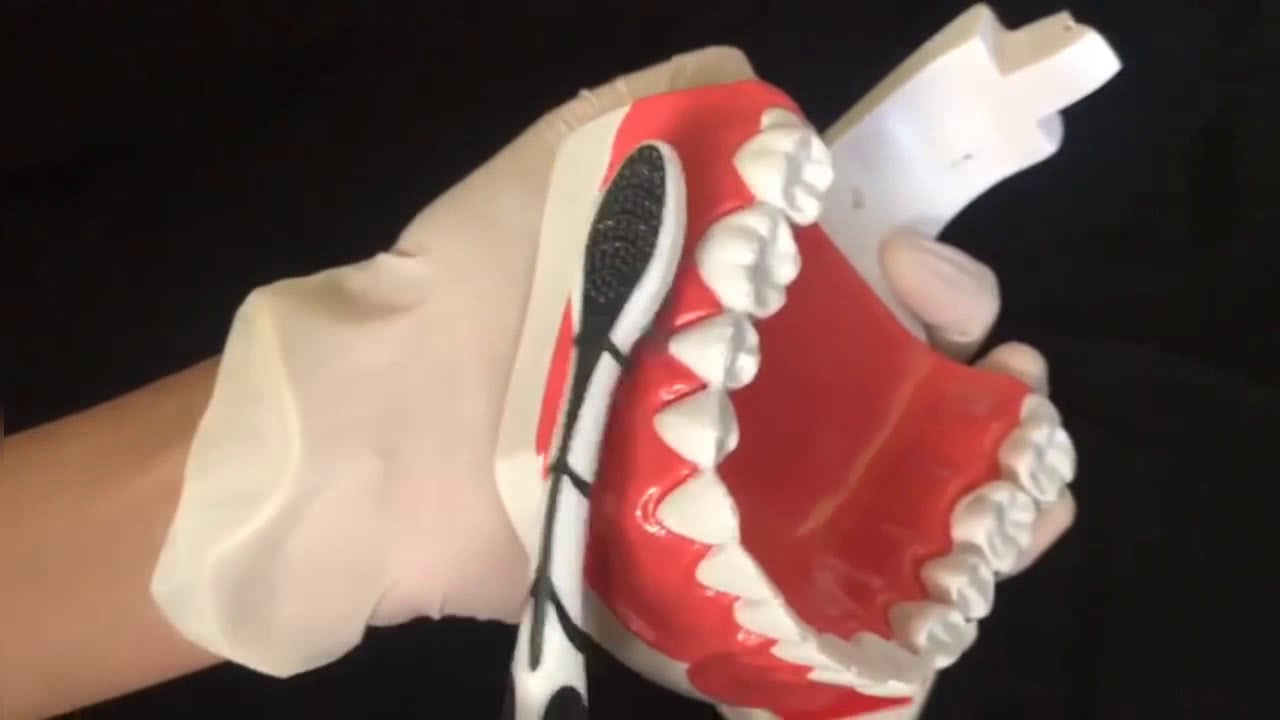 Tutorial Menyikat Gigi dengan Teknik Modified Stillman - YouTube