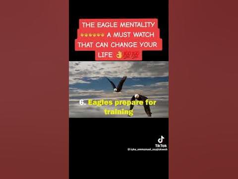 Lessons from eagle, motivational video - YouTube