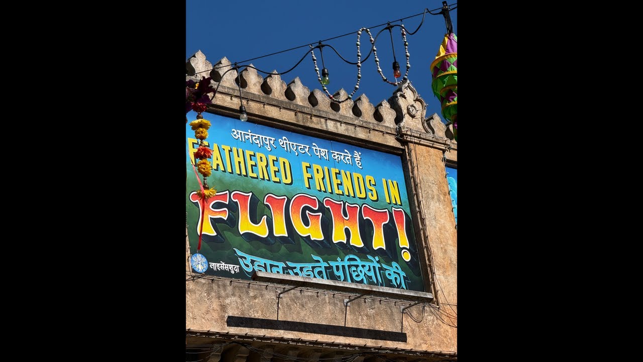 Uncle Matty’s Adventures is live - DisneyWorld - Animal Kingdom ...