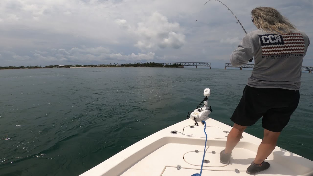 Bridge Fishing in Big Pine Key Florida. - YouTube