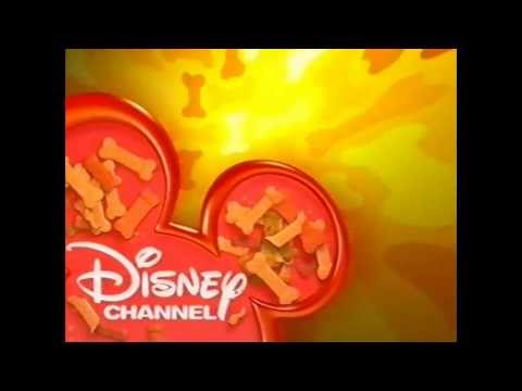 Disney Channel Bounce Yellow Bumper UK - Coming up - YouTube